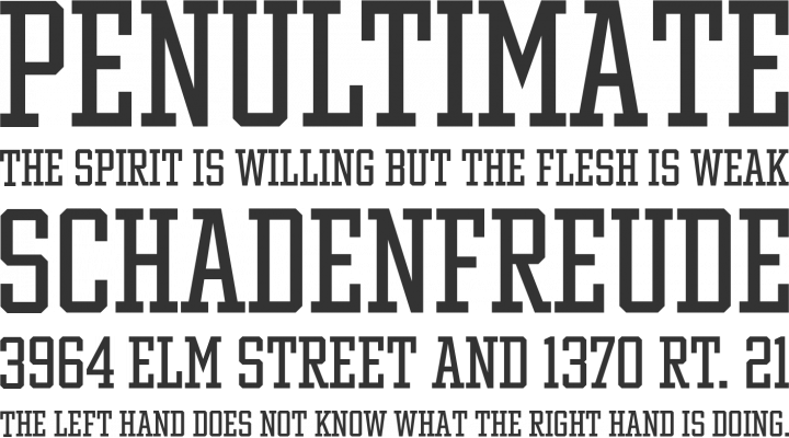 Winner Condensed Font Free by sportsfonts.com » Font Squirrel